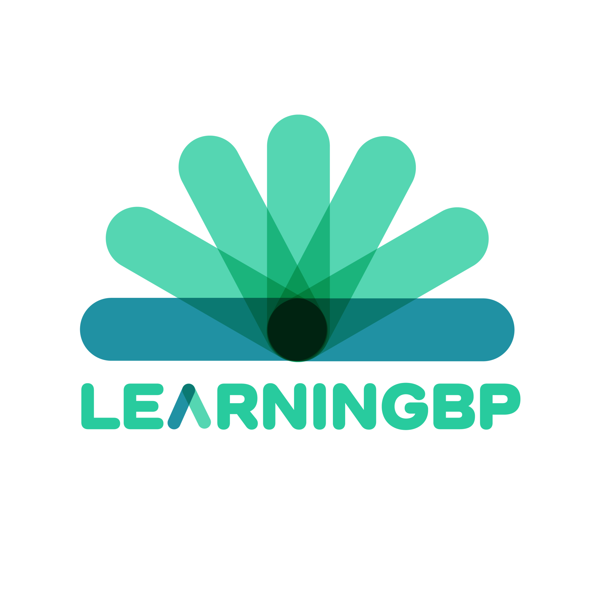 Learningbp Academy